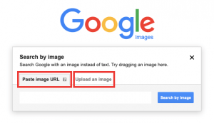 How to Find and Remove your Personal Photos from Google – Find Related ...