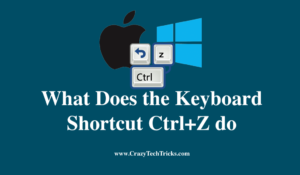 What Does the Keyboard Shortcut Ctrl+Z do on Windows & Mac - Crazy Tech ...