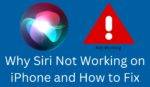 Why Siri Not Working on iPhone and How to Fix - 7 Best Ways - Crazy ...
