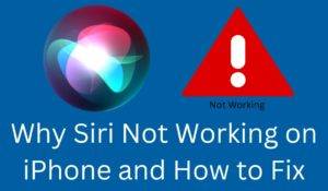 Why Siri Not Working on iPhone and How to Fix - 7 Best Ways - Crazy ...